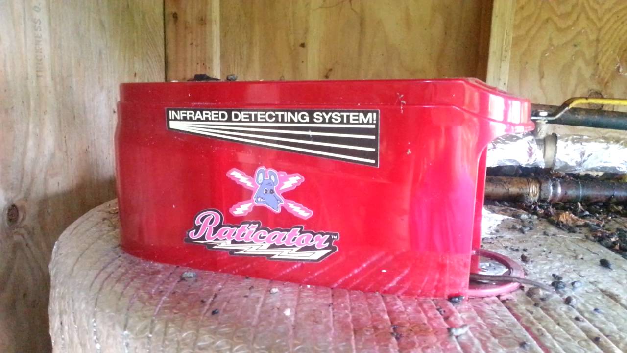 Raticator 7 kills one set of D cells - YouTube