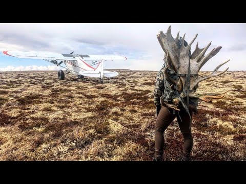 Shed Hunting in the Tundra - YouTube