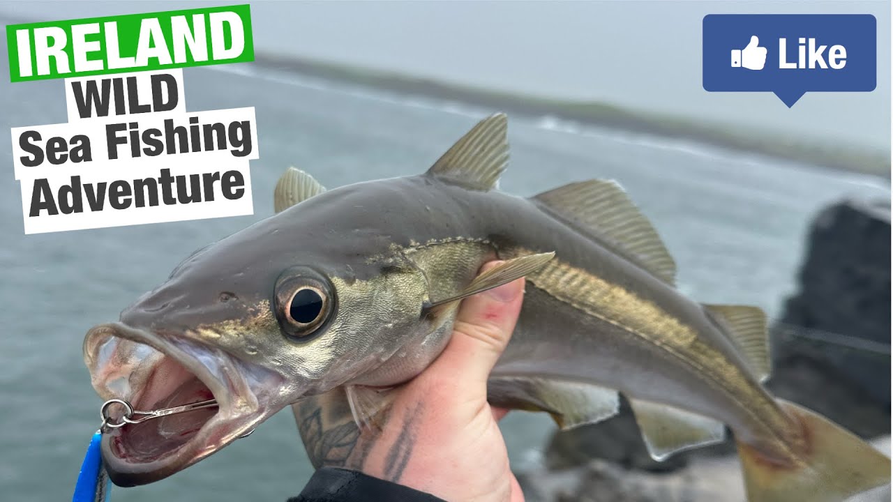 Irish Sea Fishing adventure Wild Coast! - YouTube