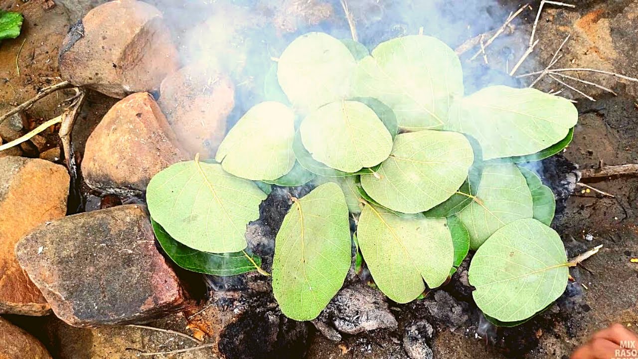 स्वाद और सेहत Eps-1 leaf flavor baati | स्वादिष्ट और अनोखा व्यंजन ...