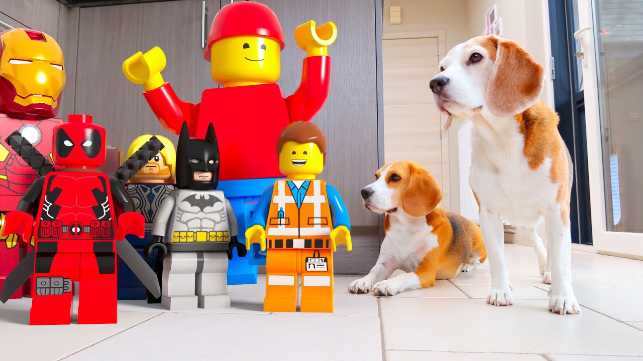 Animations in REAL LIFE vs Funny Dogs 🥳 | LEGO Edition - YouTube
