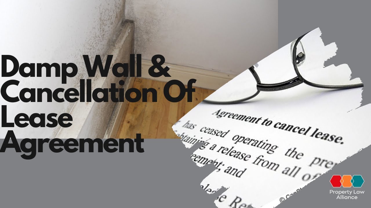 Damp Wall And Cancellation Of Lease Agreement - YouTube