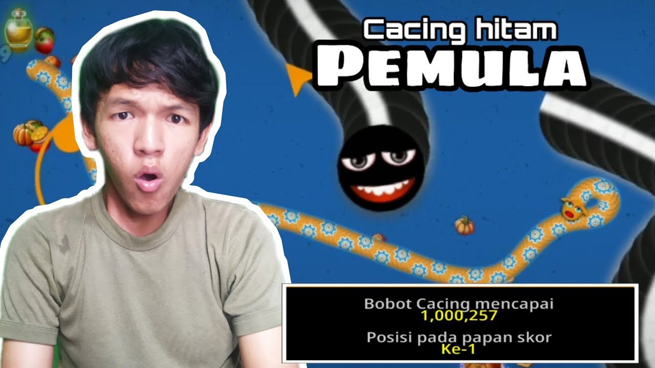 Cacing Hitam kejebak Janda kuning, T3mBus skor 1juta, - YouTube