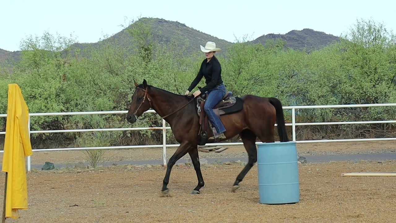 Ranch Trail Class - SSC Summer Series | August 2024 Horse Show - YouTube