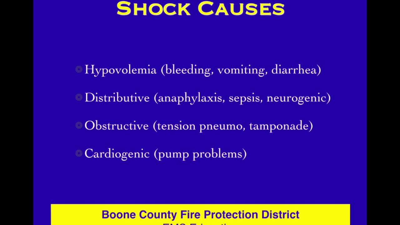 PALS Shock - YouTube