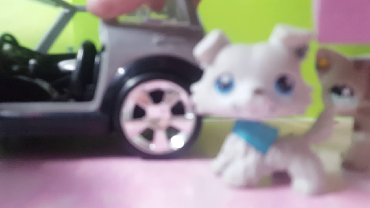 LPS road trip part 1 - YouTube