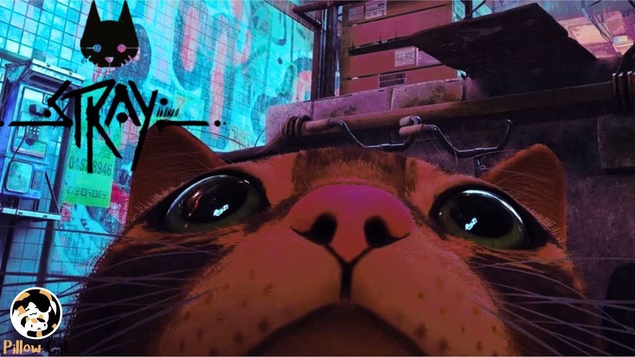 Sewer Cat - Stray Episode 8 - YouTube
