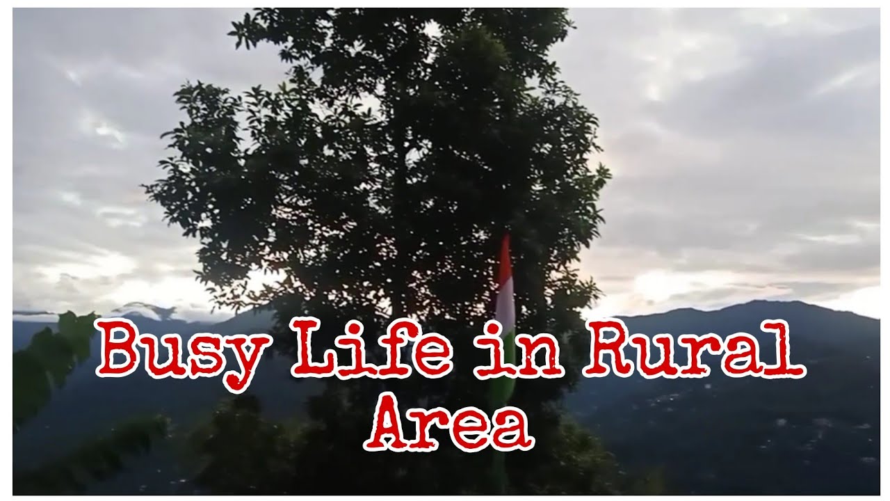 Busy Life in Rural Area || Village Busy Life. - YouTube