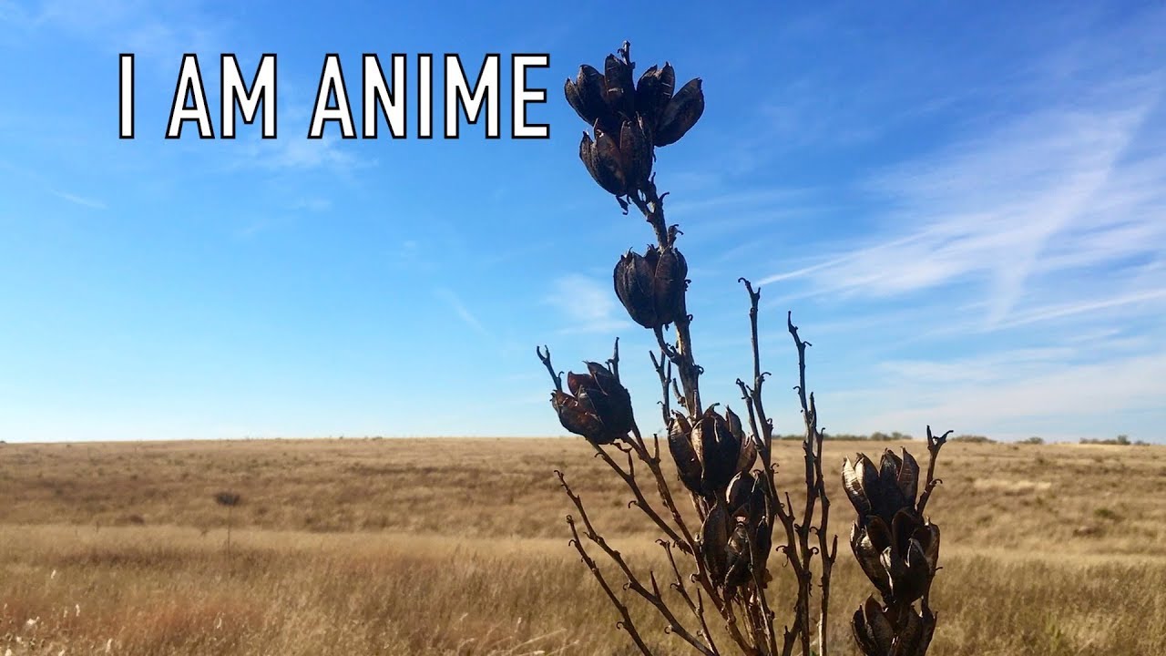 I Am Anime - YouTube