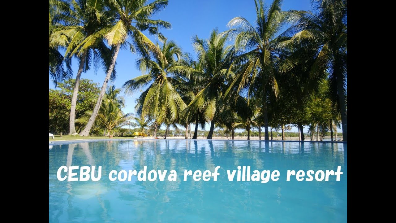 セブ島【cordova reef village resort】#15 album コルドバリーフビレッジリゾート hotel mactan ...