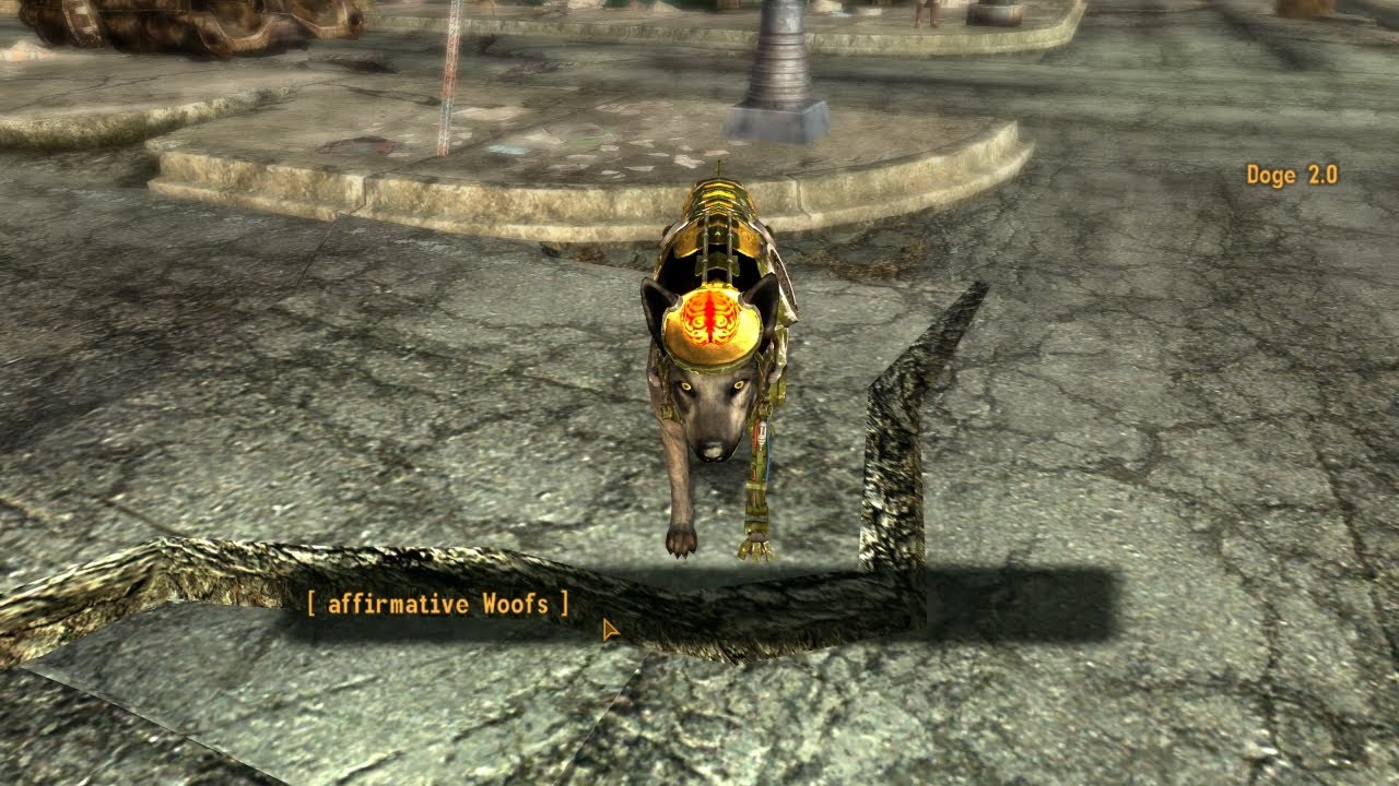 Fallout New Vegas - Cyborg Dog Companion mod - YouTube