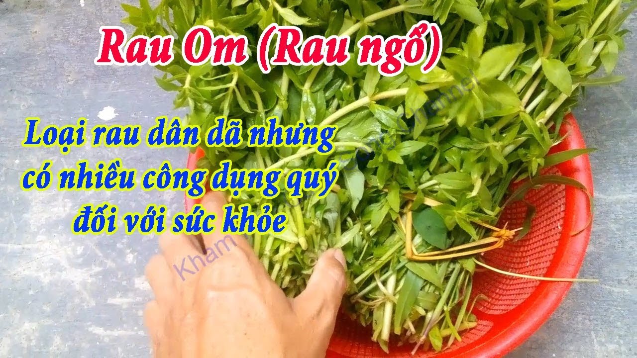 Rau ngổ (Rau om) loại rau dân dã nhưng có những Công Dụng vô cùng Quý ...