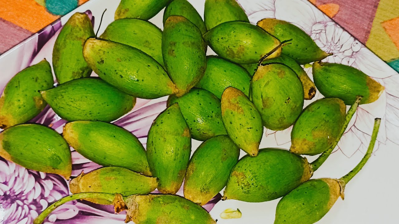 महुआ के फल की सब्जी || Mahua ke fal ki sabji / Jharkhand famous kochra ...