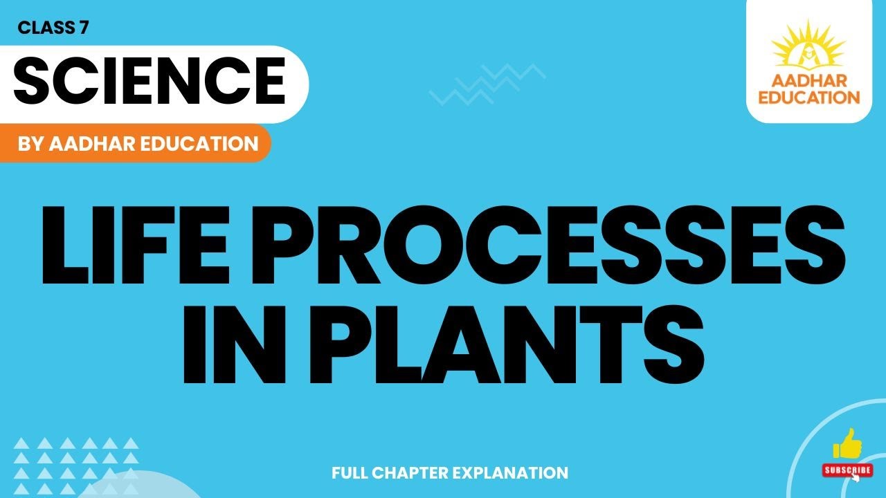 Life Processes in Plants | Science | Class 7 | Chapter 10 | NCERT ...