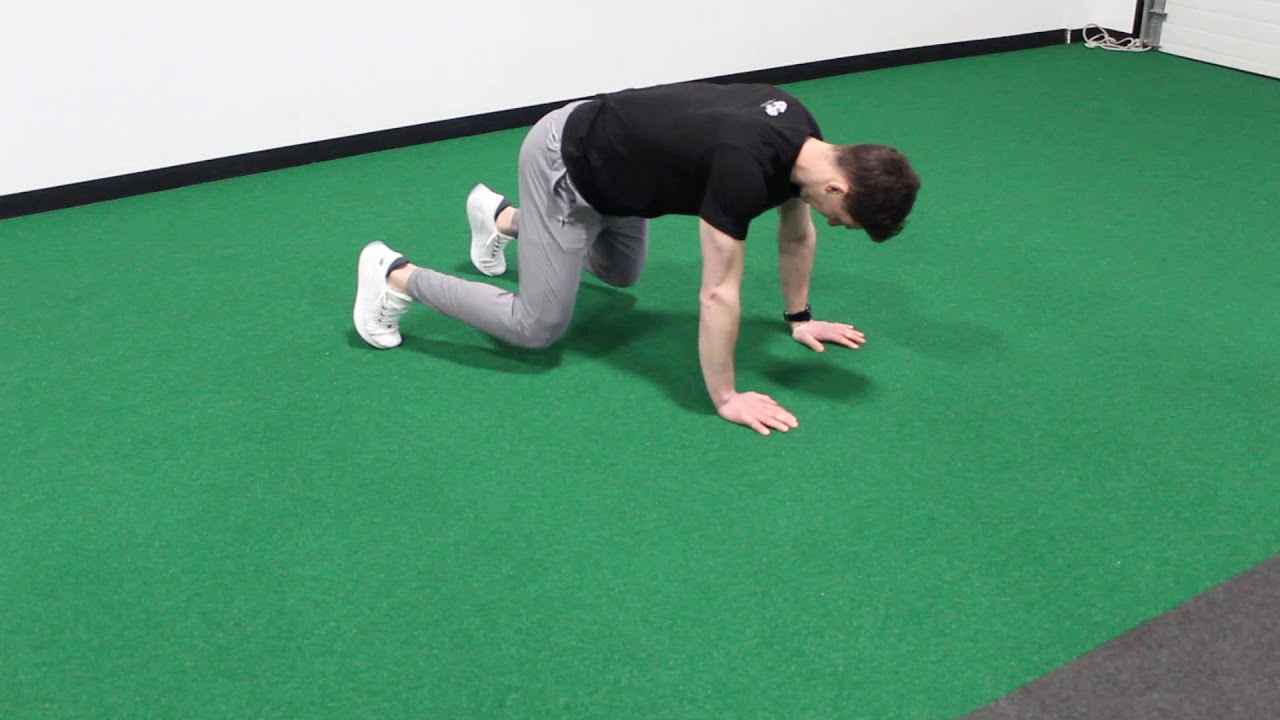 Bear Hold Shoulder Taps - YouTube