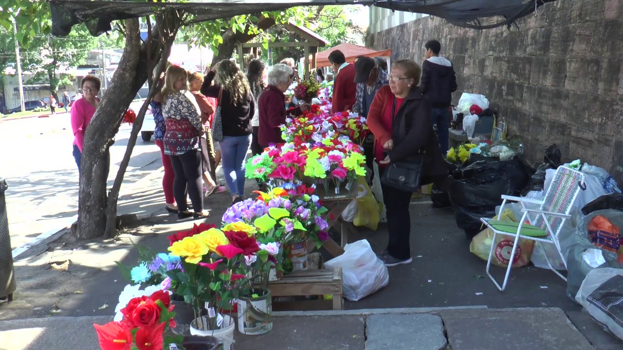 Sergio Sander - Director de Necrópolis IDR - YouTube