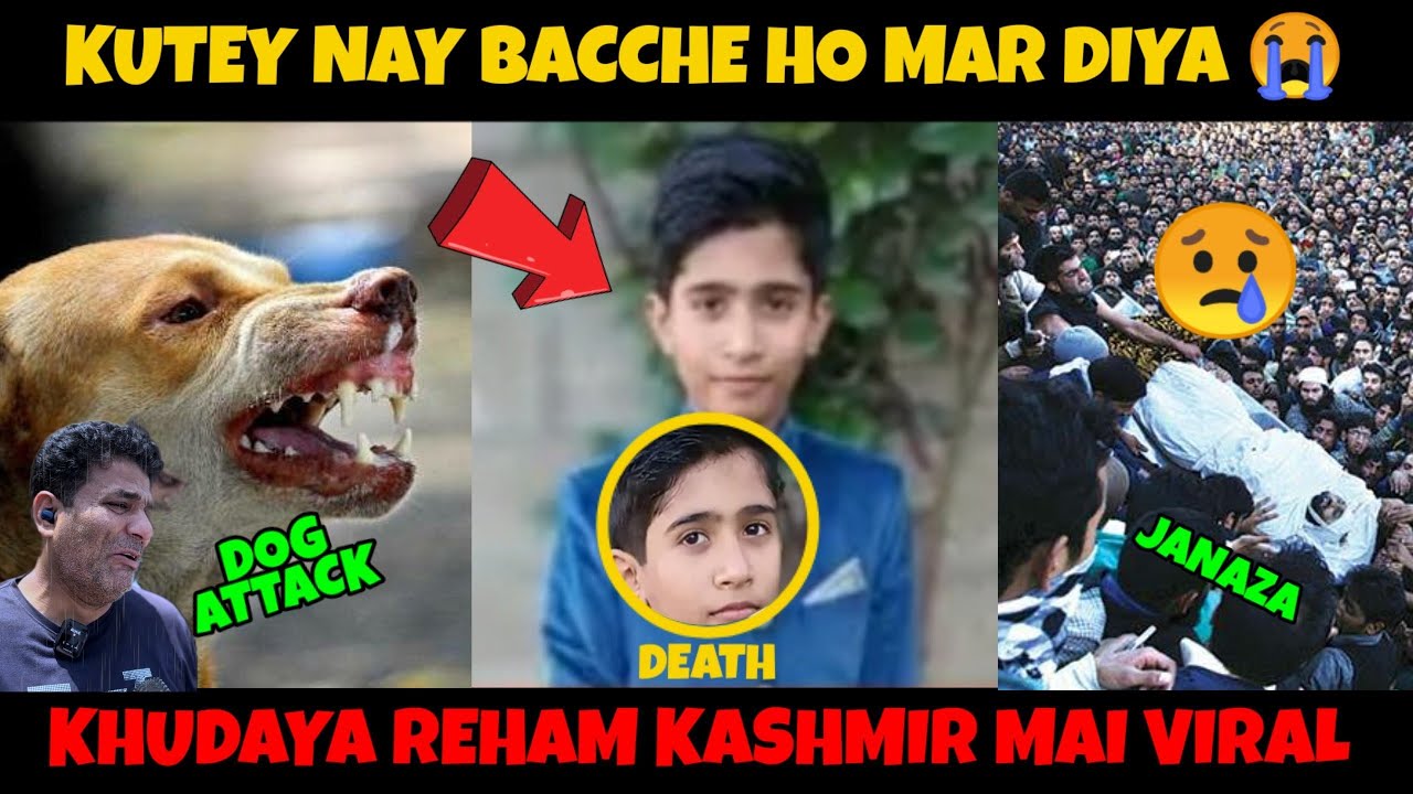 Kutey nay bacche ko maar diya || khudaya reham purey kashmir mai viral ...