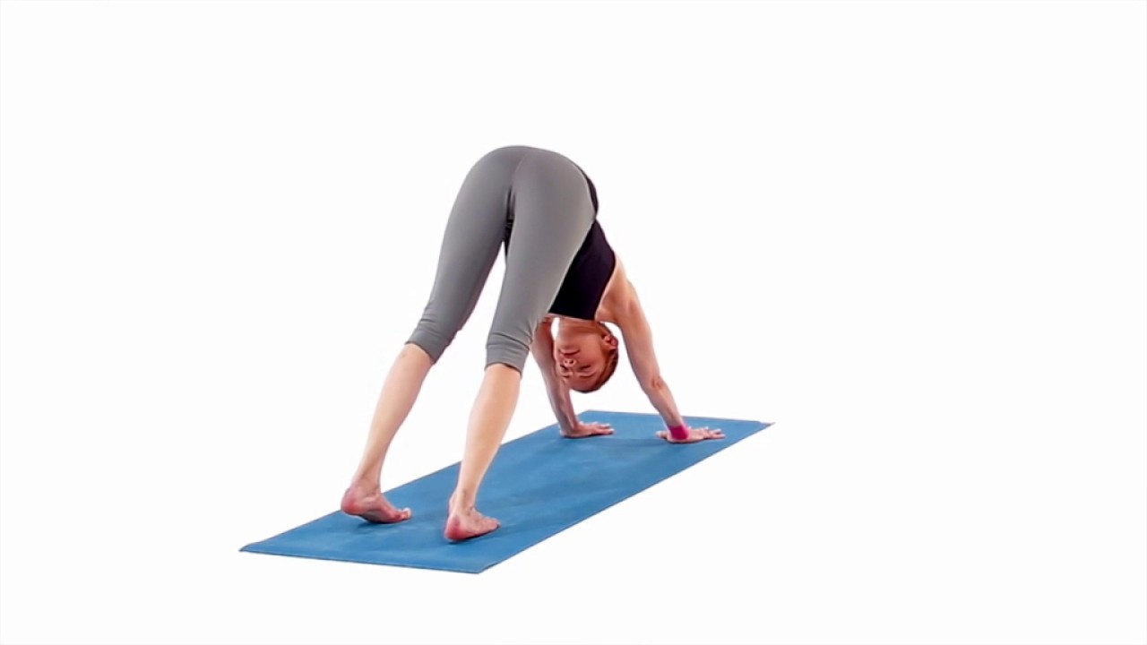 Tự tập Yoga tại nhà - Tư thế Chó úp mặt - Down Dog Pose - Adho Mukha ...