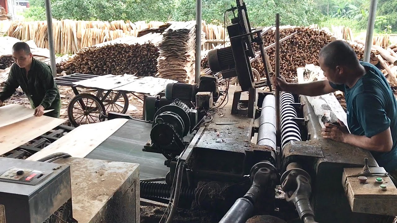 processing wood into plywood #woodworking #construction - YouTube