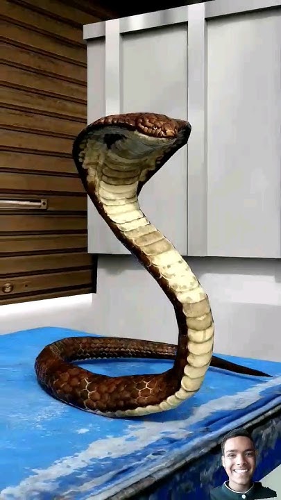 How To Survive Snake Attack? #shorts - YouTube