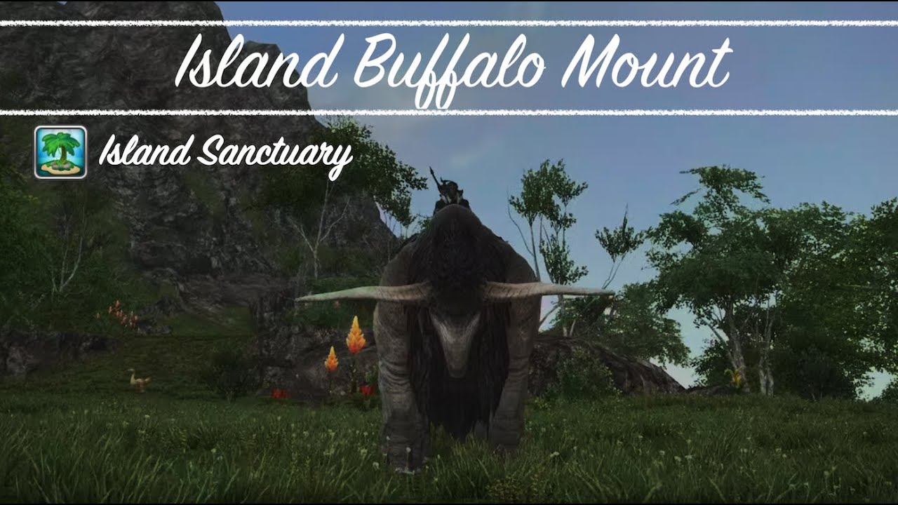 Final Fantasy XIV - Island Buffalo Mount - YouTube