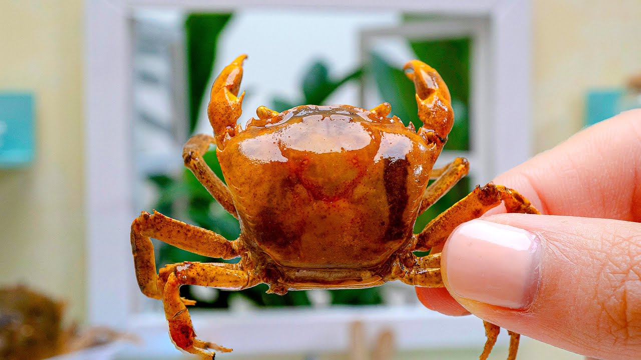 Delicious Steamed Crab | Miniature Seafood | ASMR Cooking Mini Food ...