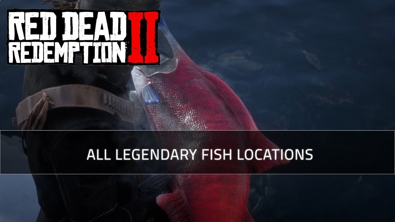 All Legendary Fish Locations | Red Dead Redemption 2 Guide - YouTube