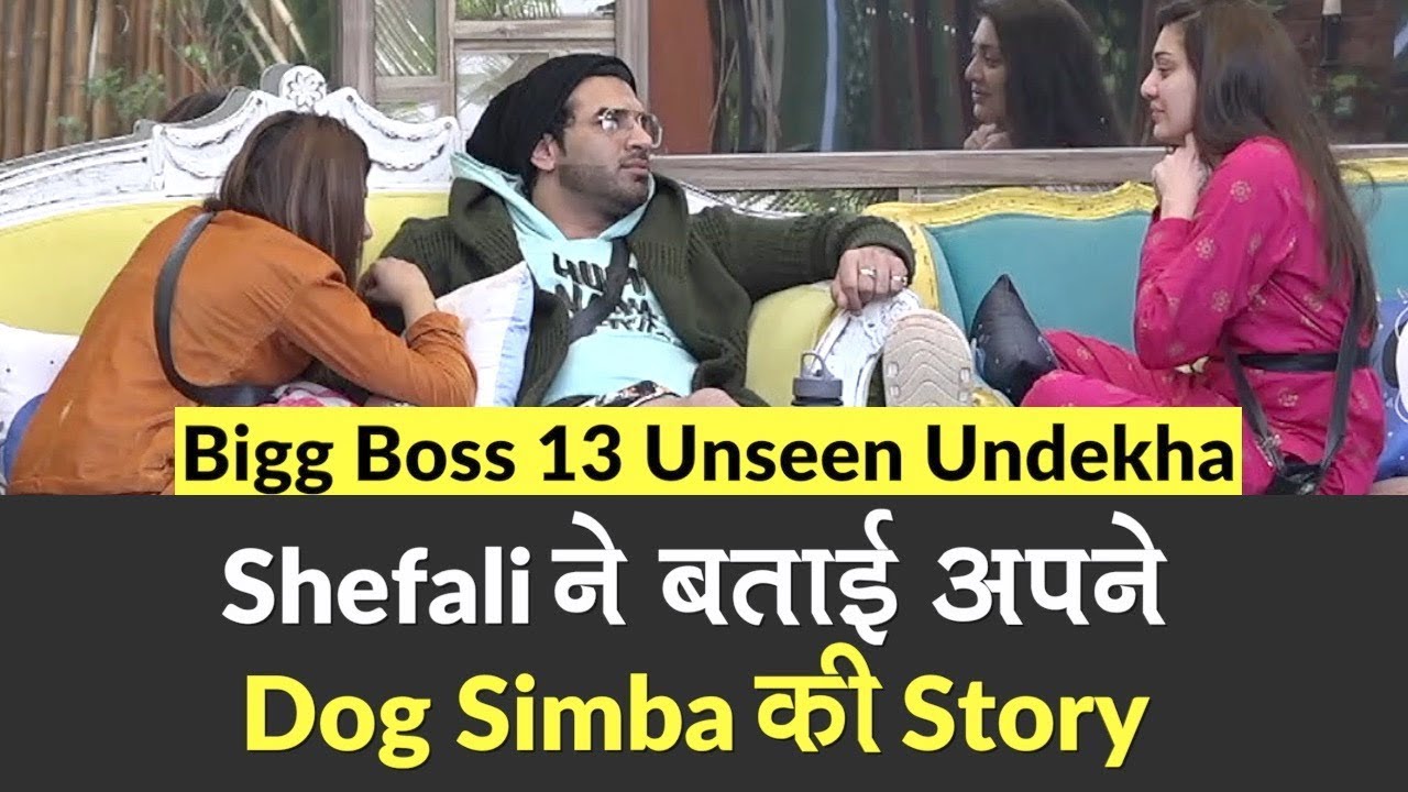 Bigg Boss 13 Unseen Undekha: Shefali Jariwala ने बताई अपने Dog Simba की ...