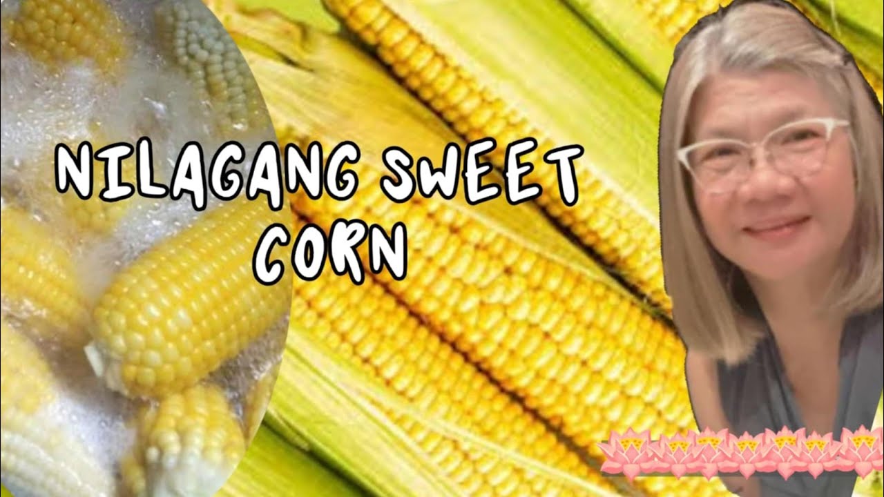 Craving sweet corn - YouTube