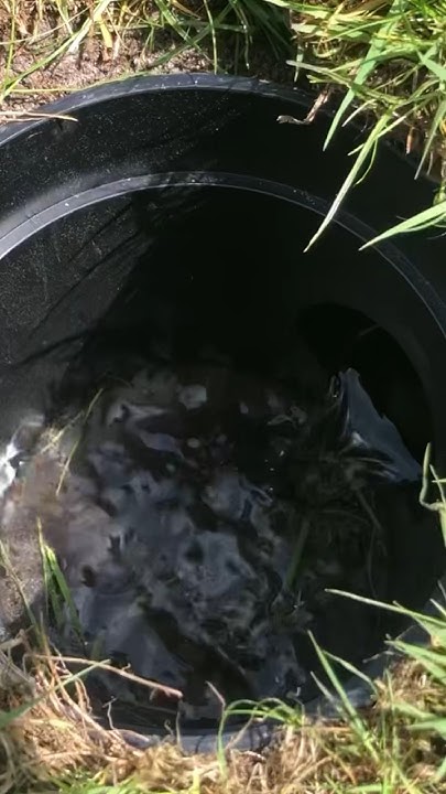 How to eliminate water from flooding your yard - YouTube