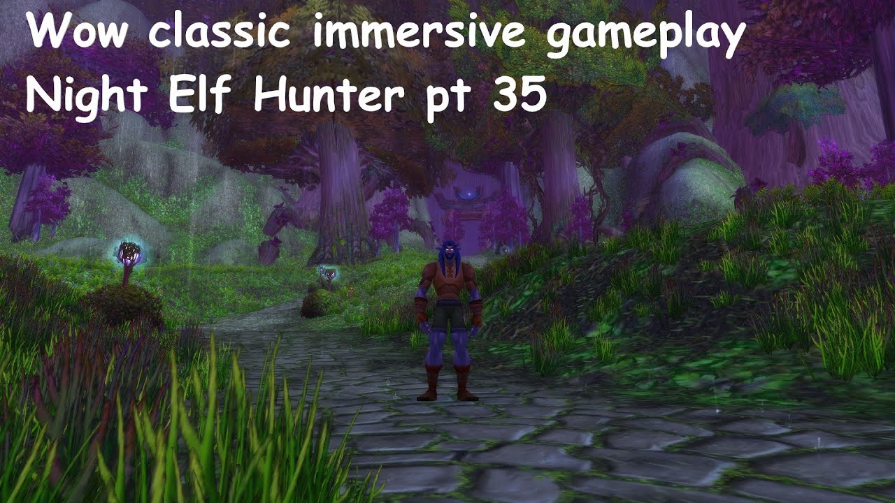 Ragekrom plays Wow Classic Night elf hunter pt35 Entering Scarlet ...