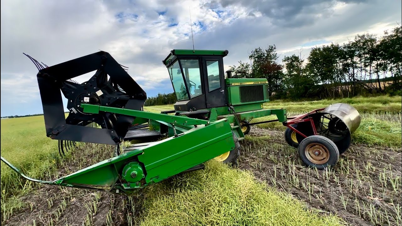 Swathing with the John Deere! - YouTube