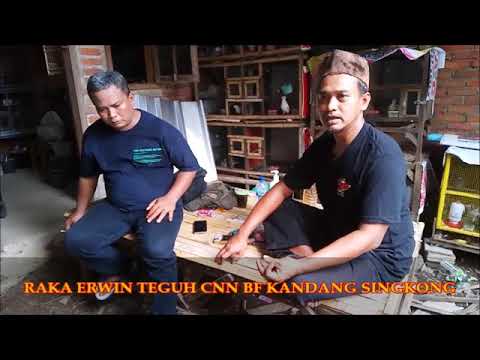 Tim Cakrabuana Berkunjung Ke Kandang Singkong Cung Nok Nok Brid Fram