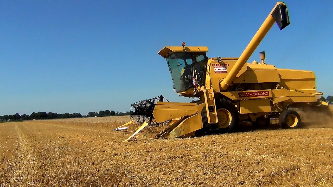 New Holland Clayson 8060 Combine - Loonbedrijf R.J Wardenier - YouTube