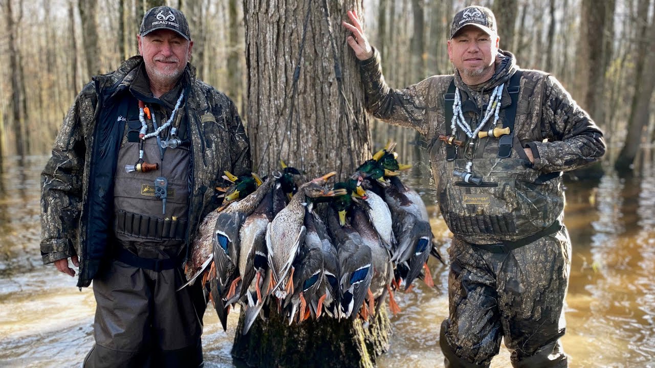Sunny Day Mallards | Awesome Duck Hunt in the Arkansas Timber | Into ...