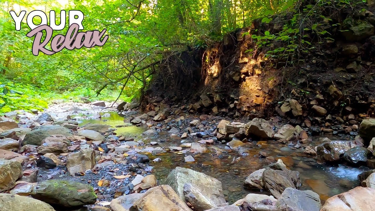 Gentle sounds of a mountain stream. Soothing sounds of running water ...