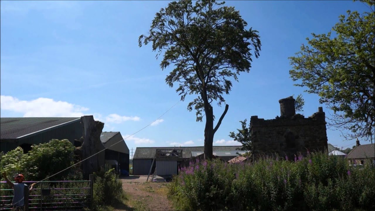 Murieston Castle Tree Felling gillies n rosco - YouTube