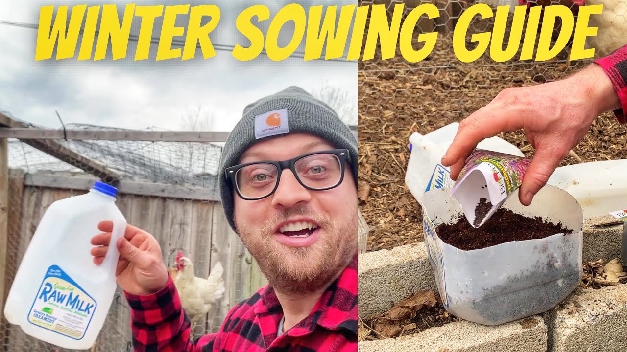 How to Start Seeds Outside (IN WINTER) Using the Winter Sowing Method ...