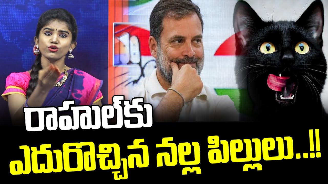 రాహుల్ కు ఎదురొచ్చిన నల్ల పిల్లులు..! | Shruthi | Mana Teenmar | black ...