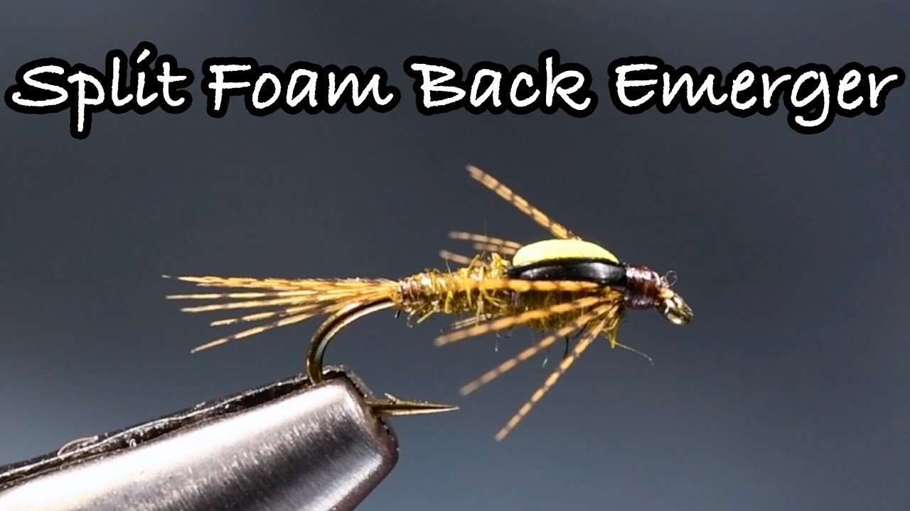 Split Foam Back Emerger Fly Tying Instructions by Charlie Craven - YouTube