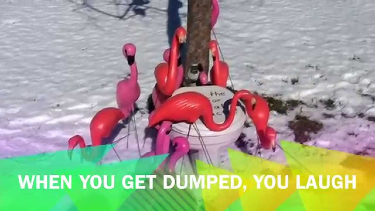 Flamingo Insurance Commercial - YouTube