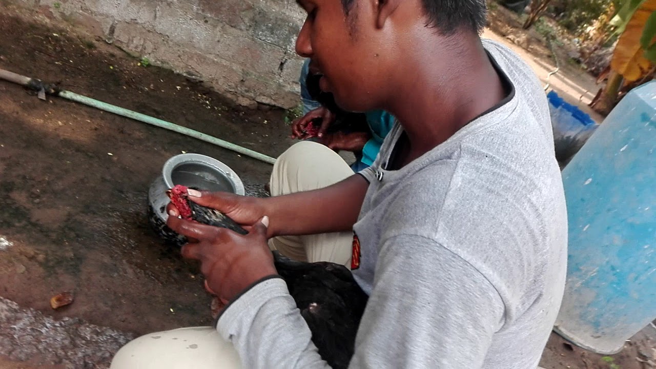 Sandai seval training - YouTube