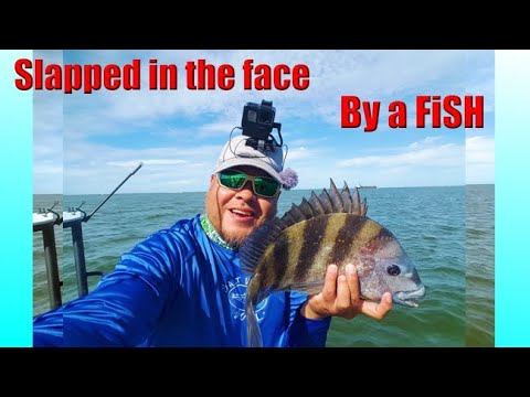 How to take a selfie with a fish | Slapped in the Face by a Fish - YouTube