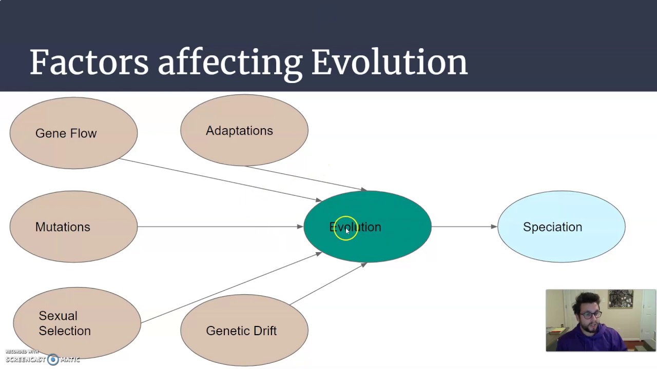 Factors Affecting Evolution - YouTube