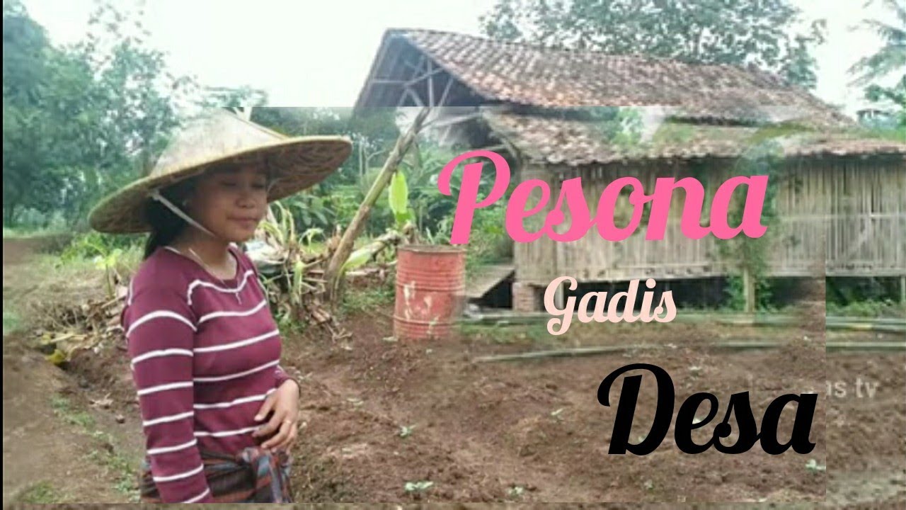 Pesona Gadis Desa, sudah cantik juga rajin || selalu membantu kedua ...