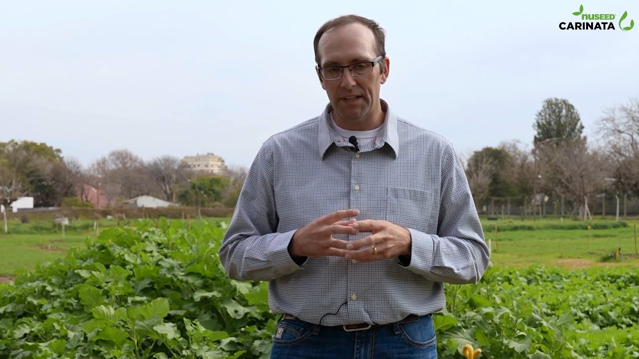 Graham Collier - Scaling Global Production - YouTube