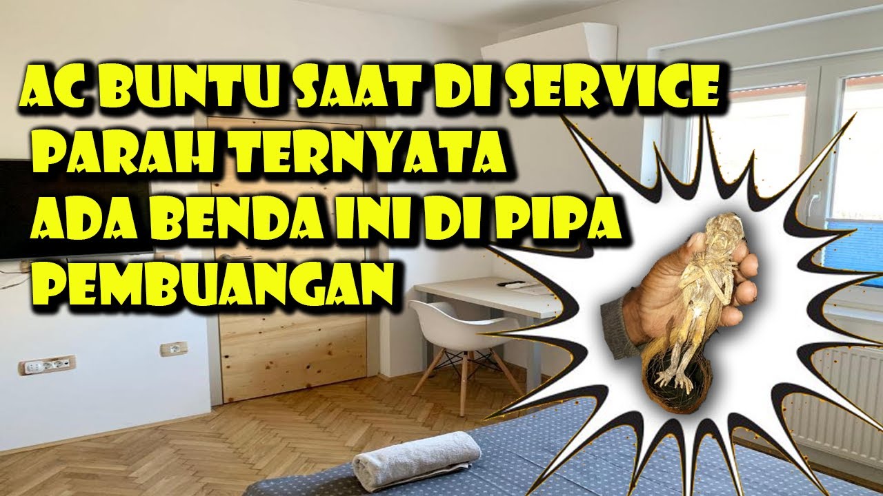 (ANEH TAPI NYATA KOK BISA) DAHAN POHON MASUK DI PIPA PEMBUANGAN AC #AC ...