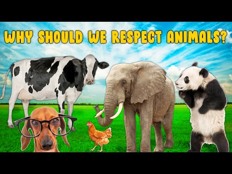Adorable Animal Sounds in Nature And Why Should We Respect Animals?