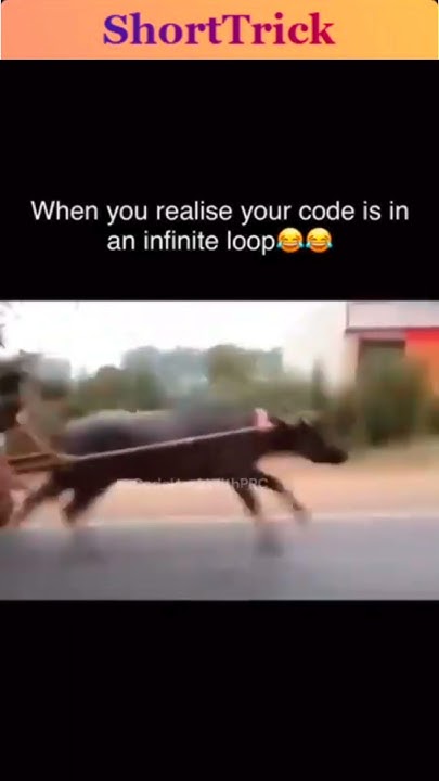 Infinite loop Code #coding #programmer #python #developer #javascript #code #technology #coder ...