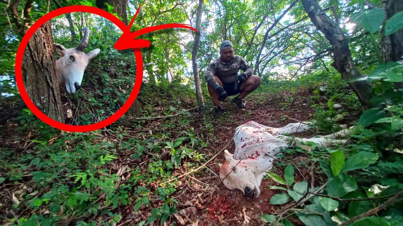 HOMEM SE TRANSFORMOU EM CRIATURA CABEÇA DE BODE NA NOSSA FRENTE E M4T0U ...